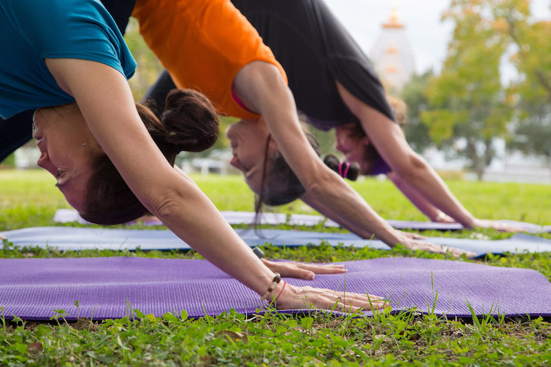 Viniyoga Foundations Program - American Viniyoga Institute