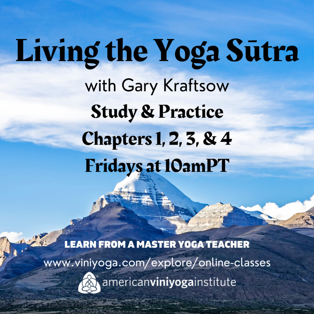 Living the Yoga Sutras – The American Viniyoga Institute